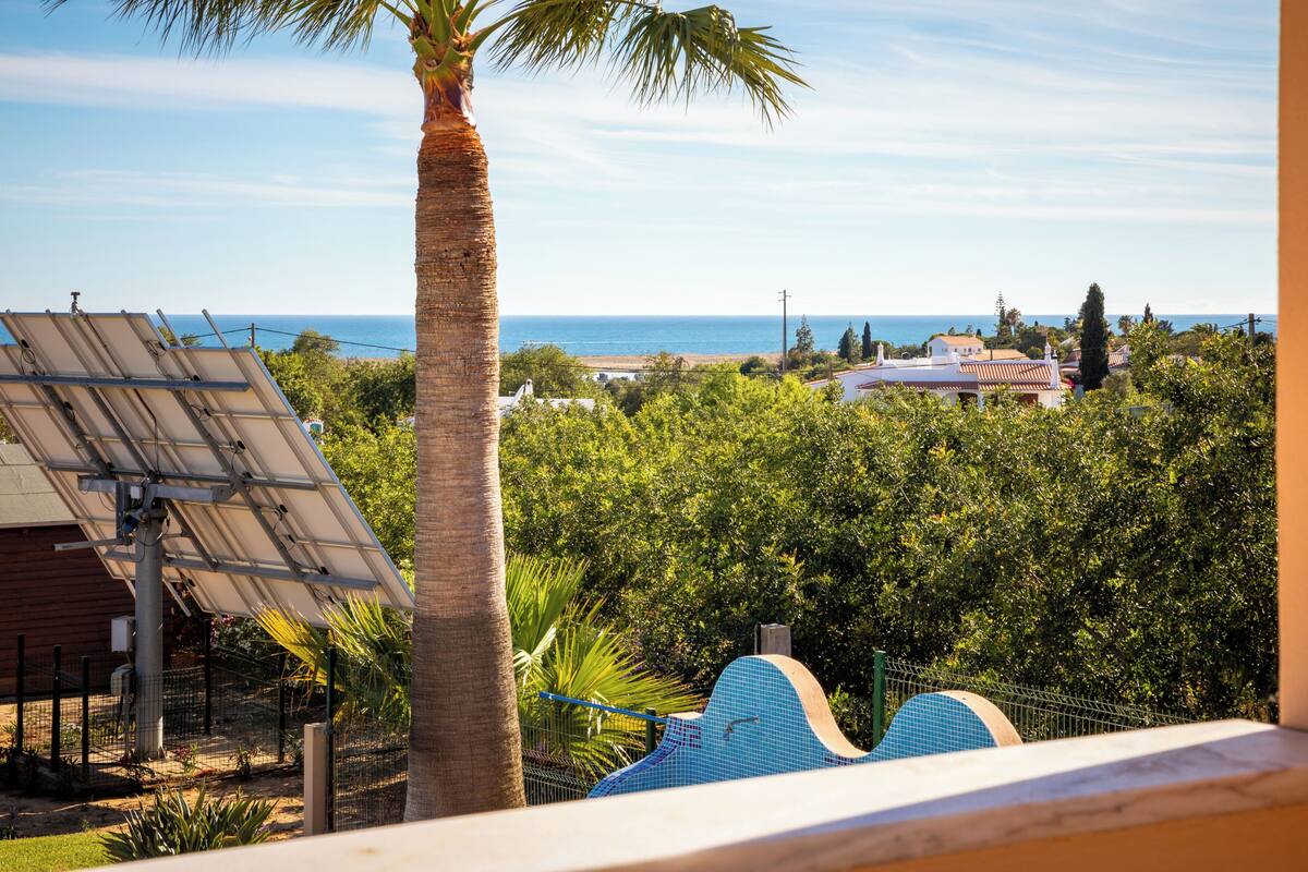 Vista de um bairro residencial com uma palmeira, painéis solares e uma piscina azul.
