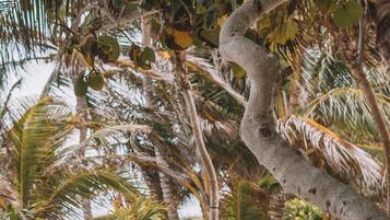 Sala(s) para tratamentos a casais, sauna, banheira de hidromassagem
