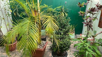 Jardim