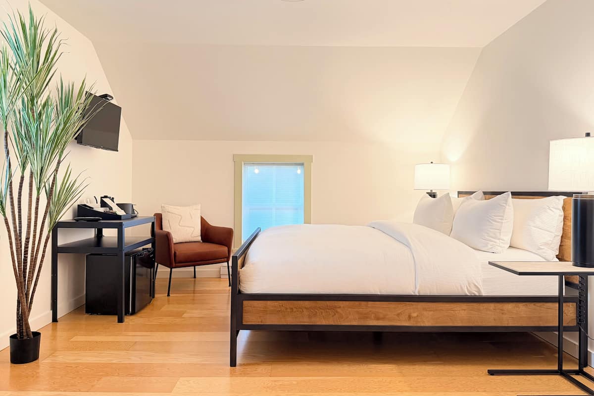 Quarto de hotel moderno com cama, escrivaninha, cadeira e planta em vaso.