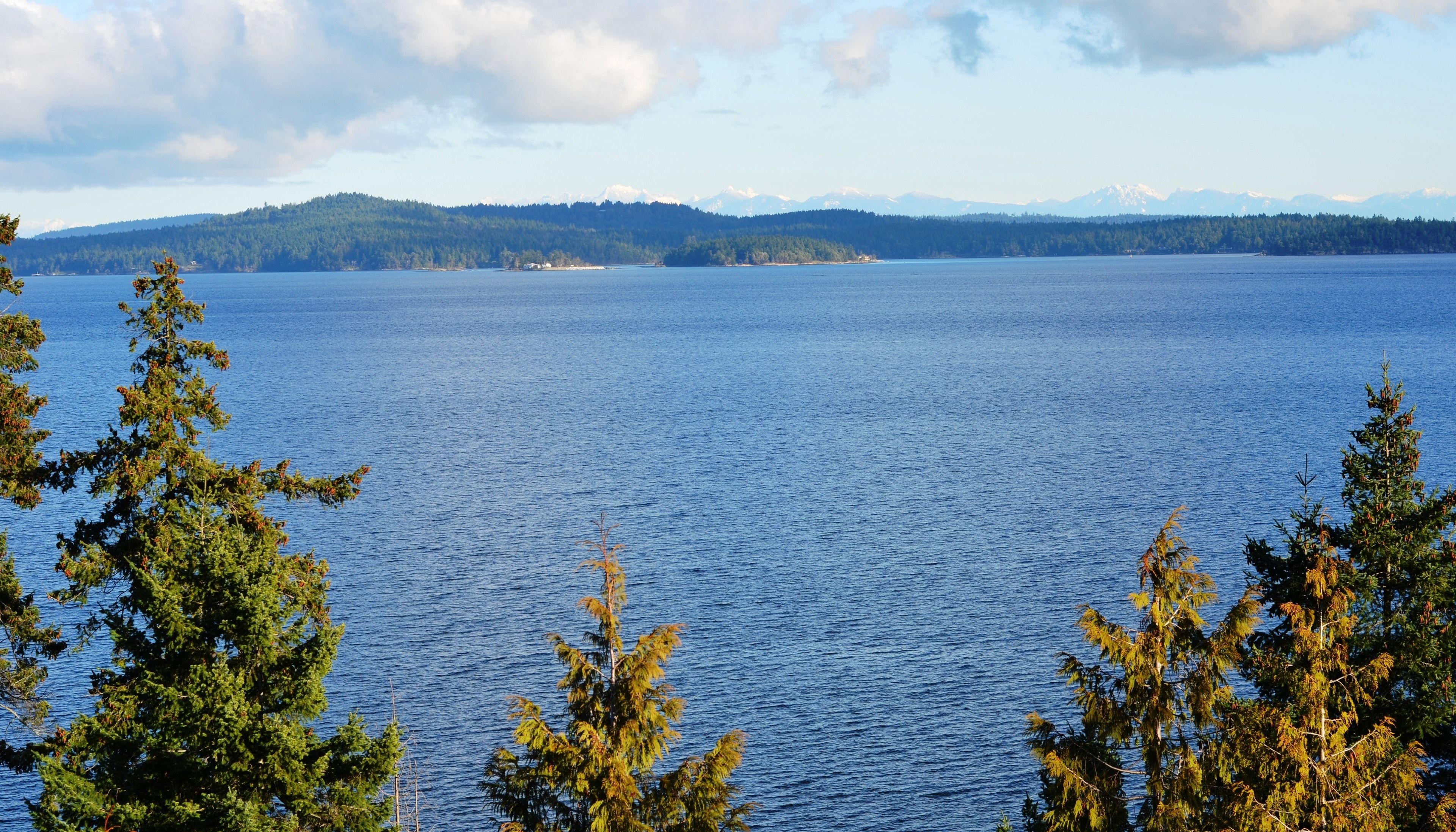 Uma extensa massa de água com margens arborizadas e montanhas ao longe.