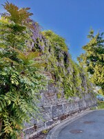 Estacionamento grátis 