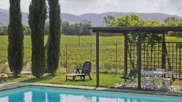 Piscina com pergolado e espreguiçadeiras, cercada por vinhedo e árvores altas.