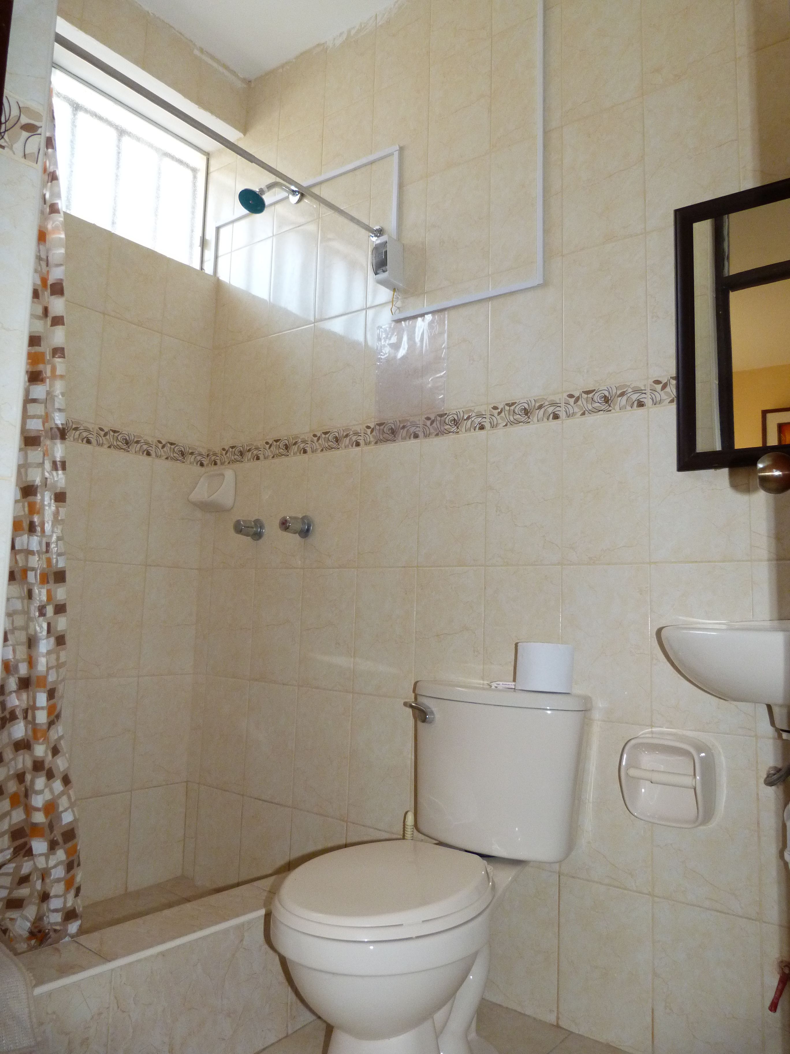 Casa de banho com sanita, chuveiro e lavatório.