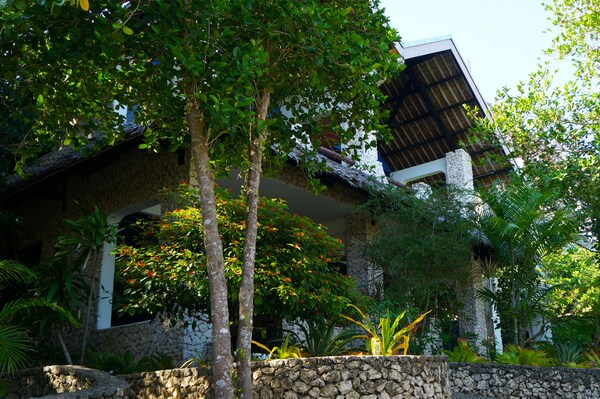 The Blue Orchid Resort - Moalboal