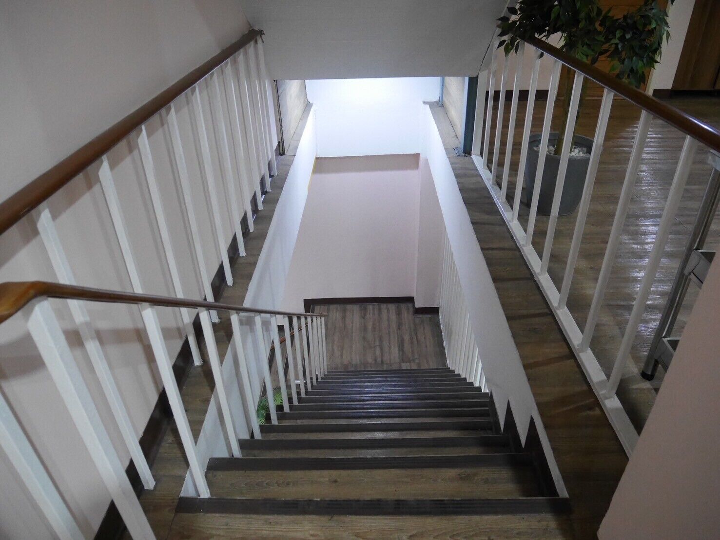 Uma escadaria de madeira com corrimãos brancos e uma planta à direita.