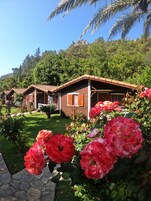 Bangalô | Vista para o jardim