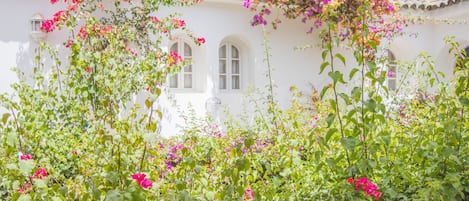 Um edifício branco com janelas em arco e um jardim com folhagem verde e flores cor-de-rosa.