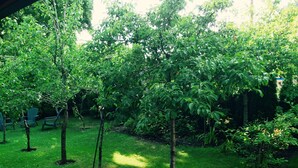 Um jardim exuberante com várias árvores jovens e um caminho de tijolos.