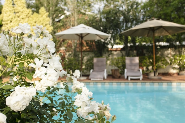 Piscina exterior, espreguiçadeiras