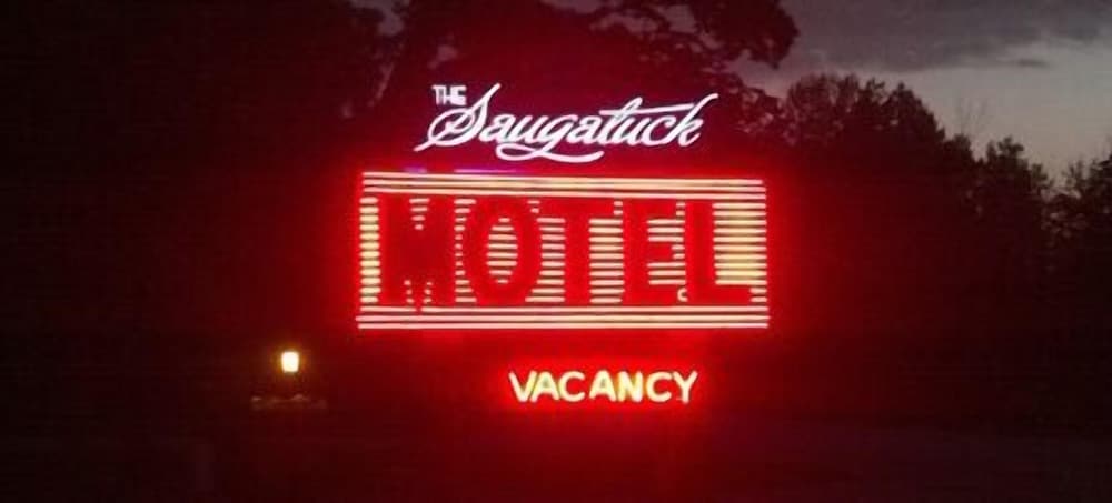 The Saugatuck Retro Resort Motel - Holland, MI