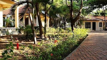 Jardim