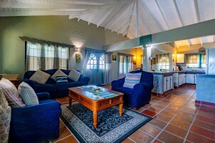 Apartamento Deluxe, 3 quartos, cozinha | Sala de estar | TV de ecrã plano, leitor de DVD