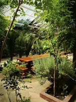 Bangalô família | Terraço/pátio