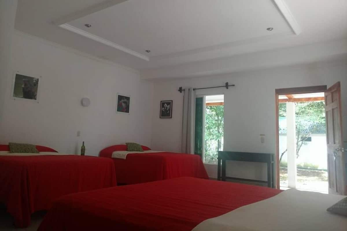 Quarto triplo luxo | Cortinas blackout, Wi-Fi de cortesia, roupa de cama