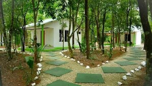 Uma trilha que leva a um edifício rodeado por árvores.
