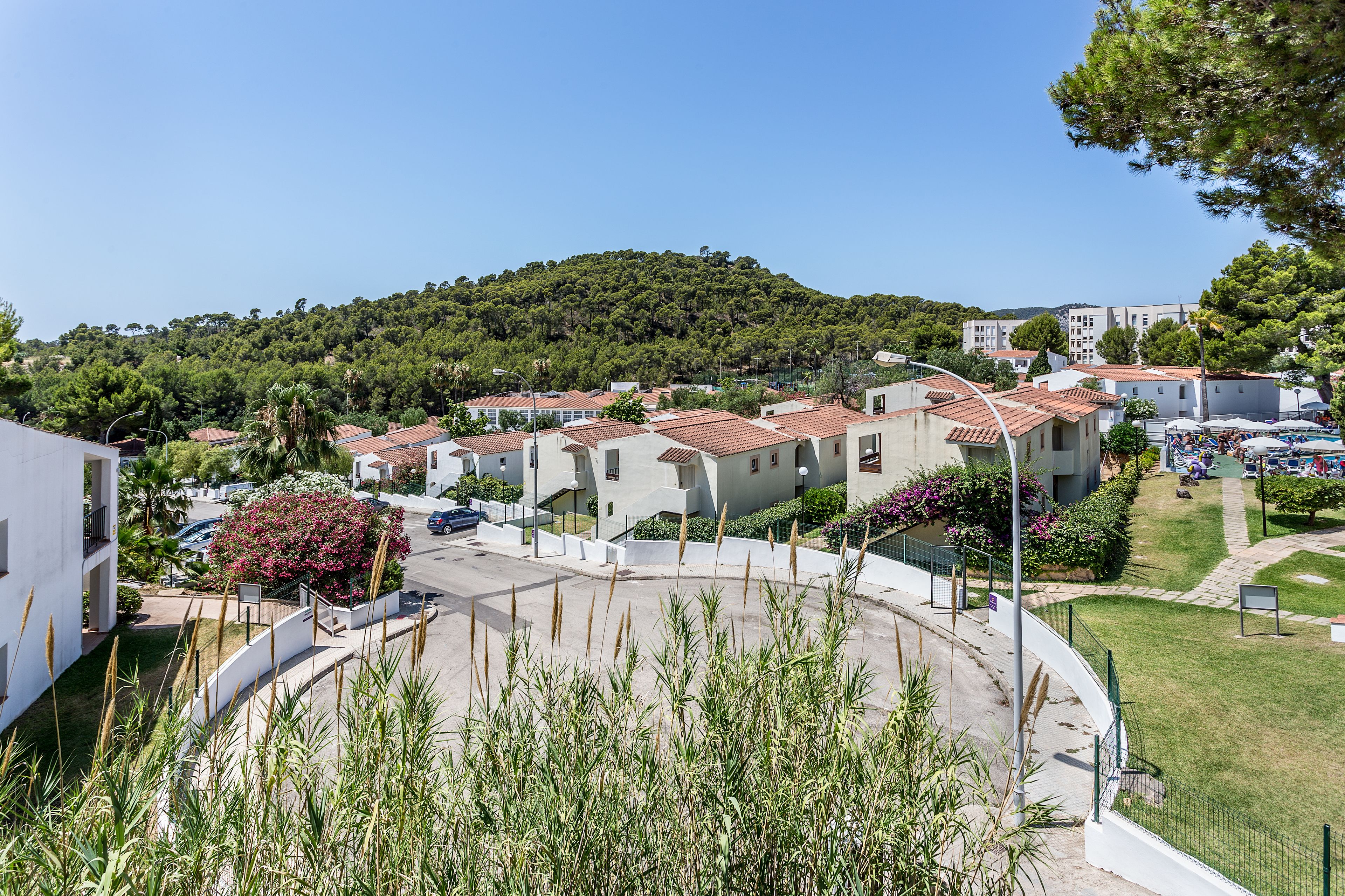 Zona residencial com casas, uma estrada sinuosa e uma colina arborizada.