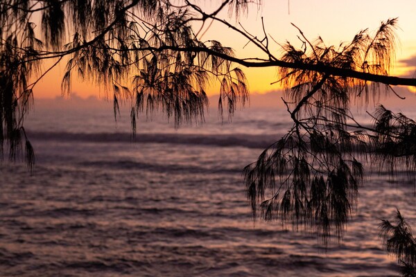 Reflections Bonny Hills - Holiday Park - Bonny Hills