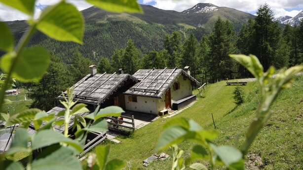 Uma cabana rústica na montanha com telhado inclinado, rodeada por vegetação exuberante e montanhas ao fundo.