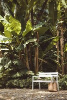 Jardim