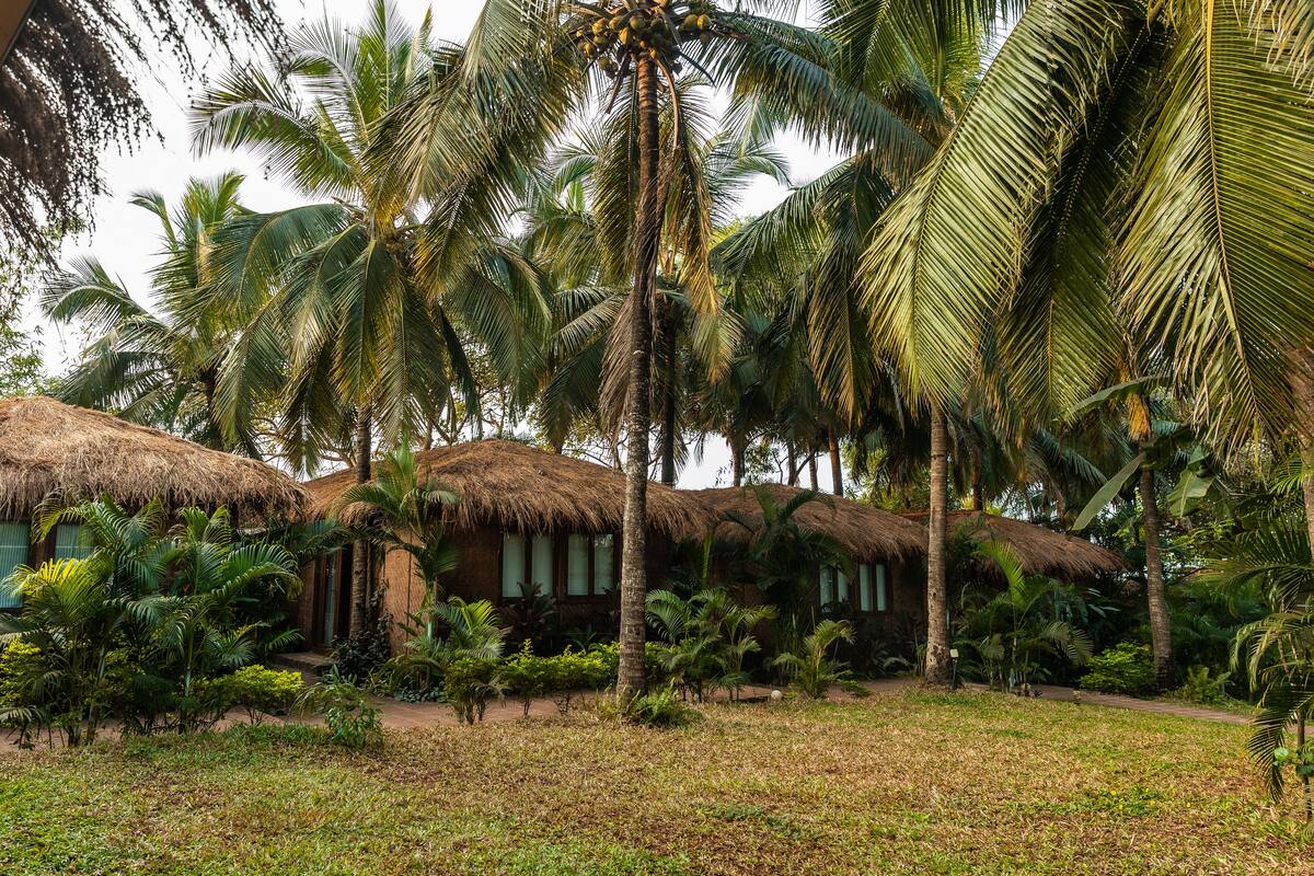 Um resort tropical com cabanas de telhado de palha, palmeiras e um jardim bem cuidado.