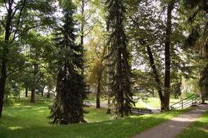 Um parque com árvores altas, um caminho pavimentado e bancos.