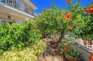 Vista da propriedade