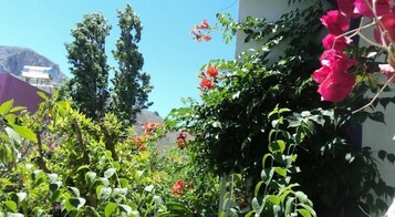 Quarto Duplo | Vista do quarto