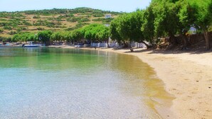 Uma praia com águas cristalinas e rasas, areia e árvores.