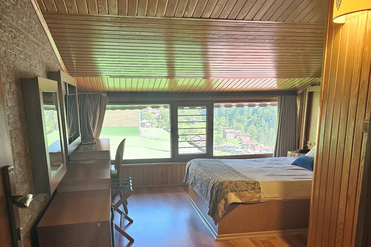 Quarto Económico, 1 cama de casal | Minibar, cofre no quarto, secretária
