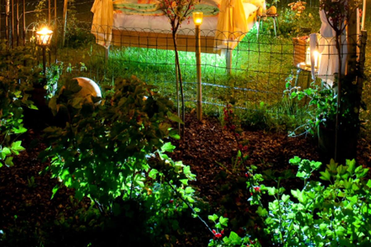 Tenda isolada ao ar livre com toldo, cercada por um jardim com diversas plantas e um cercado.