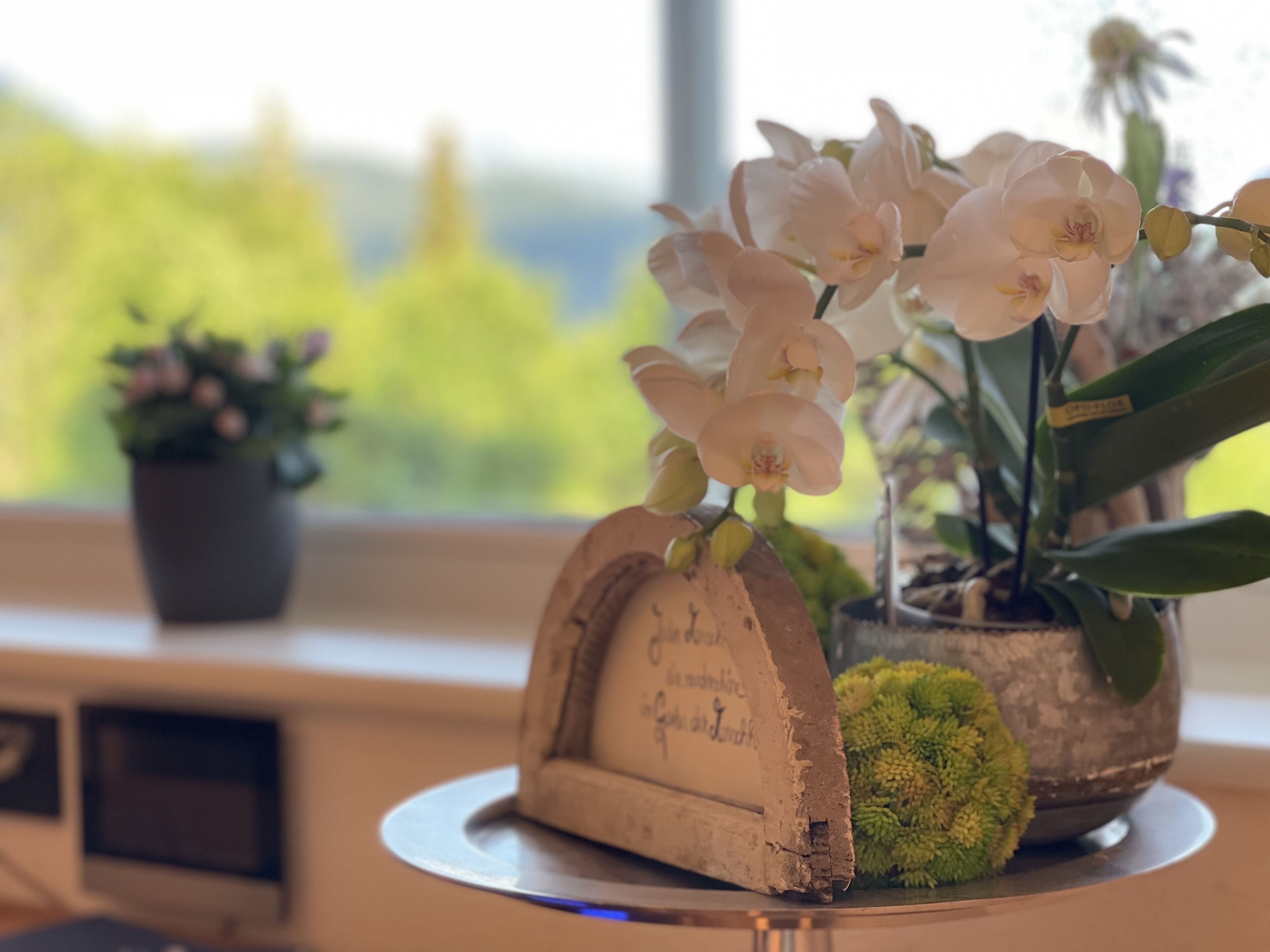 Uma mesa com uma orquídea em vaso, uma bola de musgo e um caixote de correio rústico.