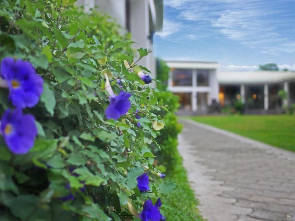 Uma trilha leva a um edifício de design moderno, cercado por vegetação exuberante e flores roxas vibrantes.