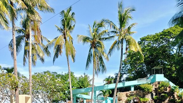 Piscina com águas azul-claras, cercada por palmeiras e uma cascata artificial de pedras.