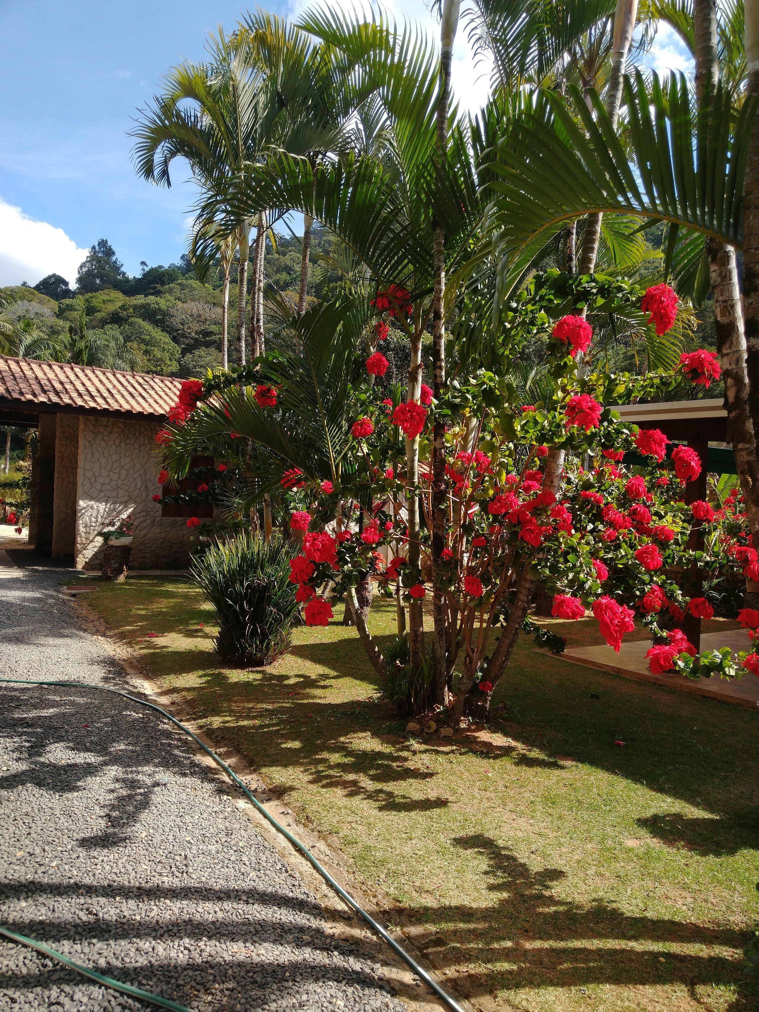 Entrada (vista interna)