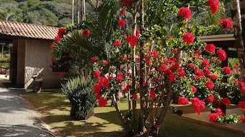 Entrada (vista interna)