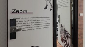 Parede com tema de zebra, contendo texto informativo e ilustrações.