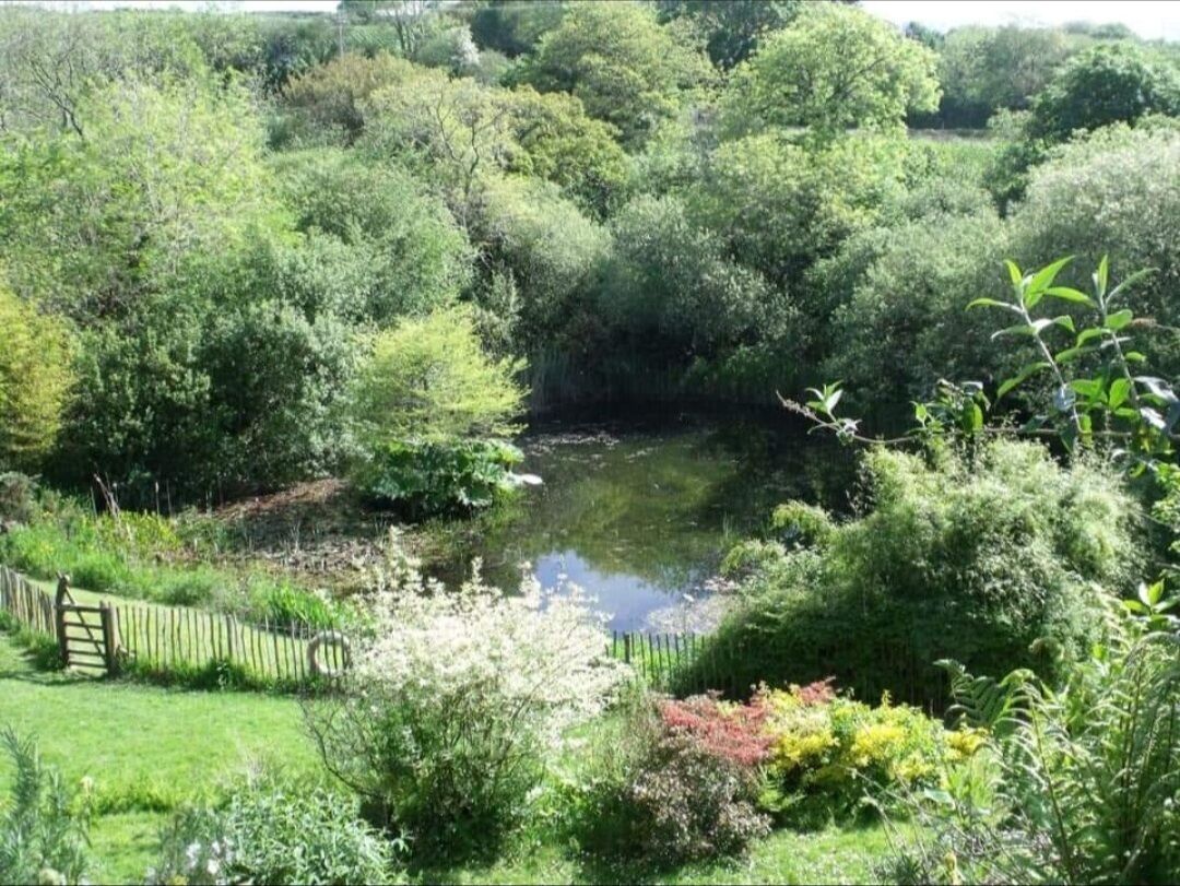 Apartamento, 1 quarto (Lake View) | Roupa de alta qualidade, com decoração personalizada 