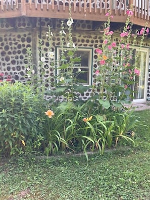 Jardim