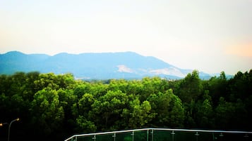Vista para a montanha