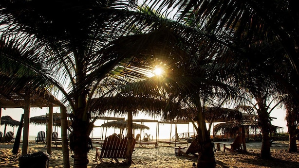 Cena de praia com palmeiras, cadeiras de praia e uma estrutura de telhado de palha.