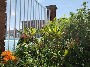 Área da propriedade