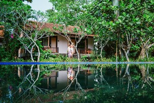 Piscina exterior, toldos gratuitos, guarda-sóis 