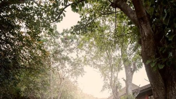 Uma banheira de hidromassagem em meio à natureza, com um deck de madeira e um edifício ao fundo.