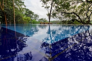 Vista clara de uma piscina rodeada por vegetação exuberante e árvores.