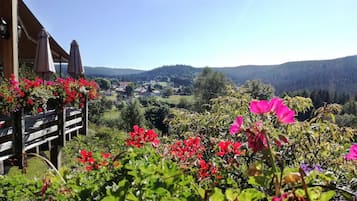 Vista da propriedade