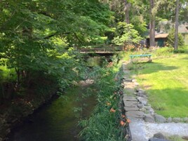 Estúdio, casa de banho privativa, vista para o jardim (Dove  house on Tannery br) | Vista do alojamento