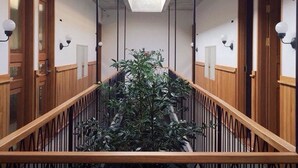 Um corredor com claraboia, portas de madeira e um espaço central com plantas.