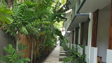 Jardim