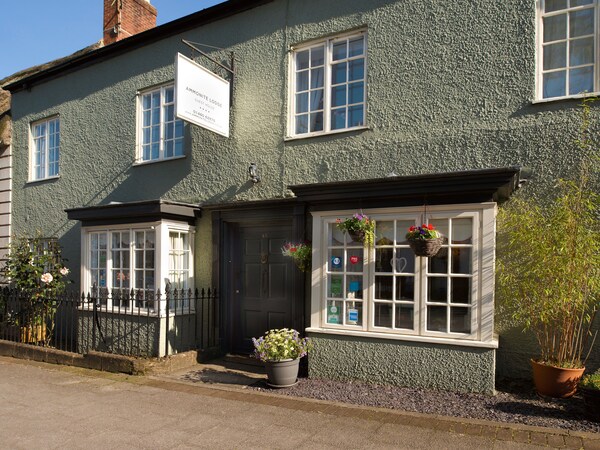 Ammonite Lodge Guest House - Devon